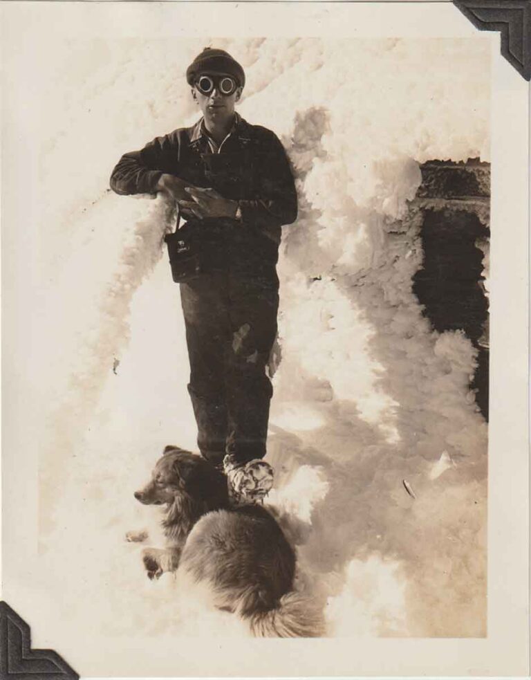 Timberline Lodge Dogs: Animals Who Became Mountain Legends